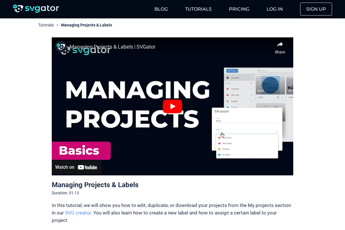 How to Manage Projects & Labels | SVGator Tutorial